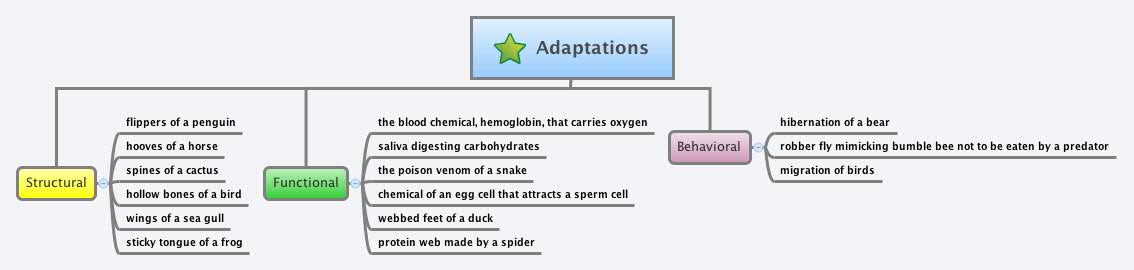 Adaptations - XMind - Mind Mapping Software