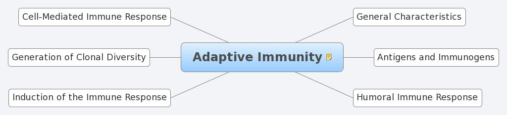 Adaptive Immunity | csatlose - Xmind