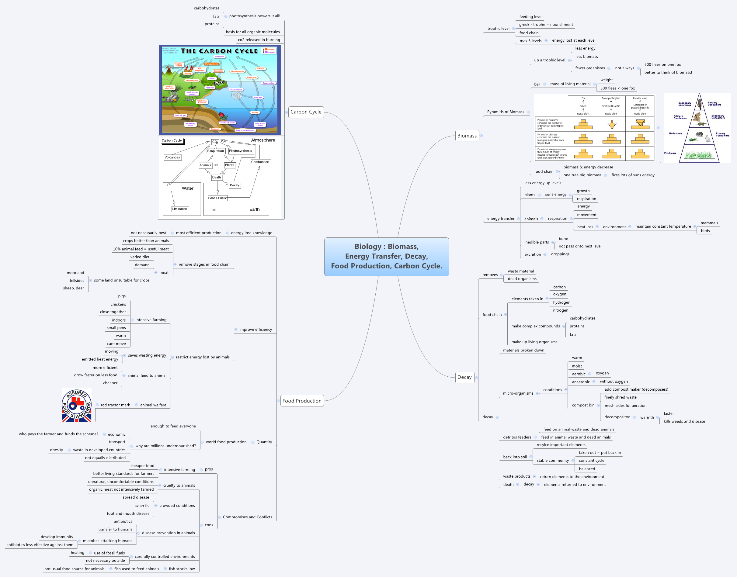 Biology : Biomass, Energy Transfer, Decay, Food Production, Carbon ...
