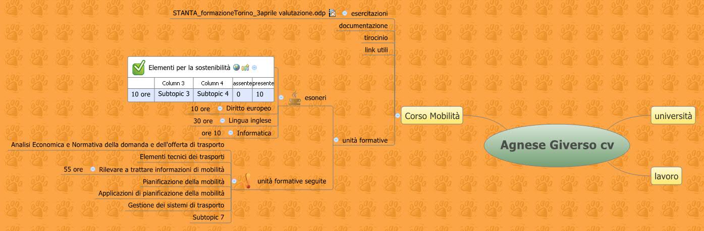 Agnese Giverso cv | agnescioc - Xmind