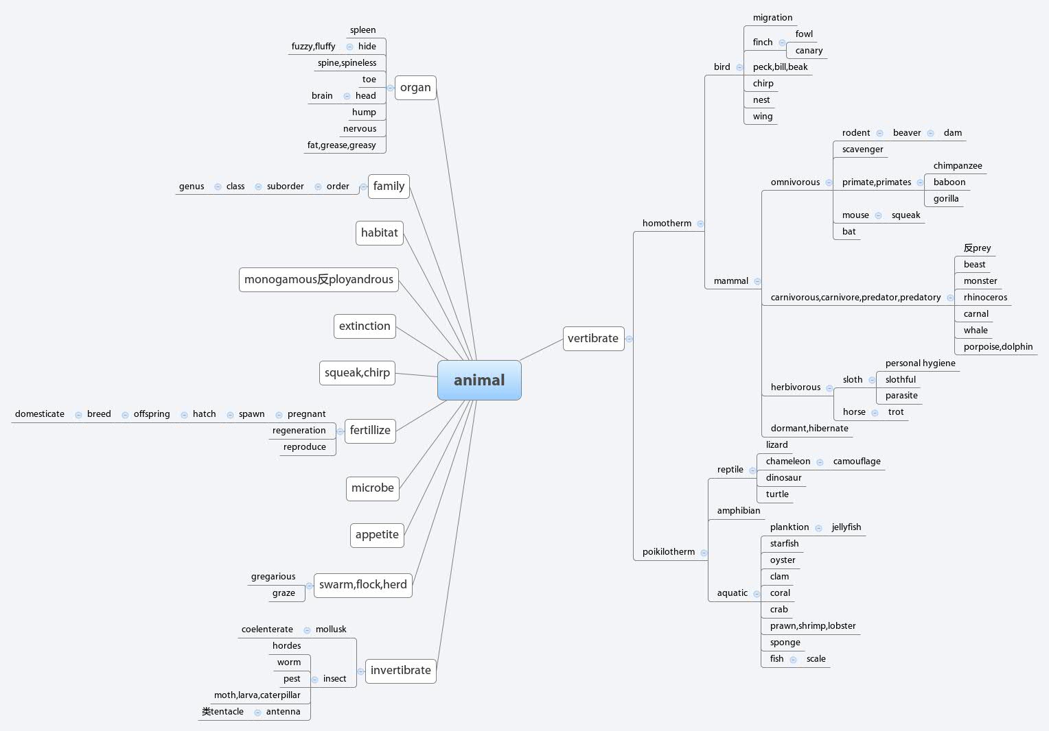 animal - XMind - Mind Mapping Software
