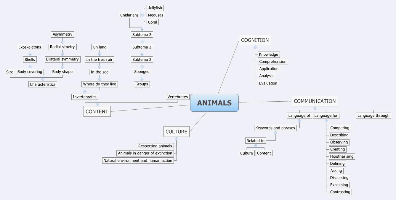 ANIMALS | Mireia - Xmind