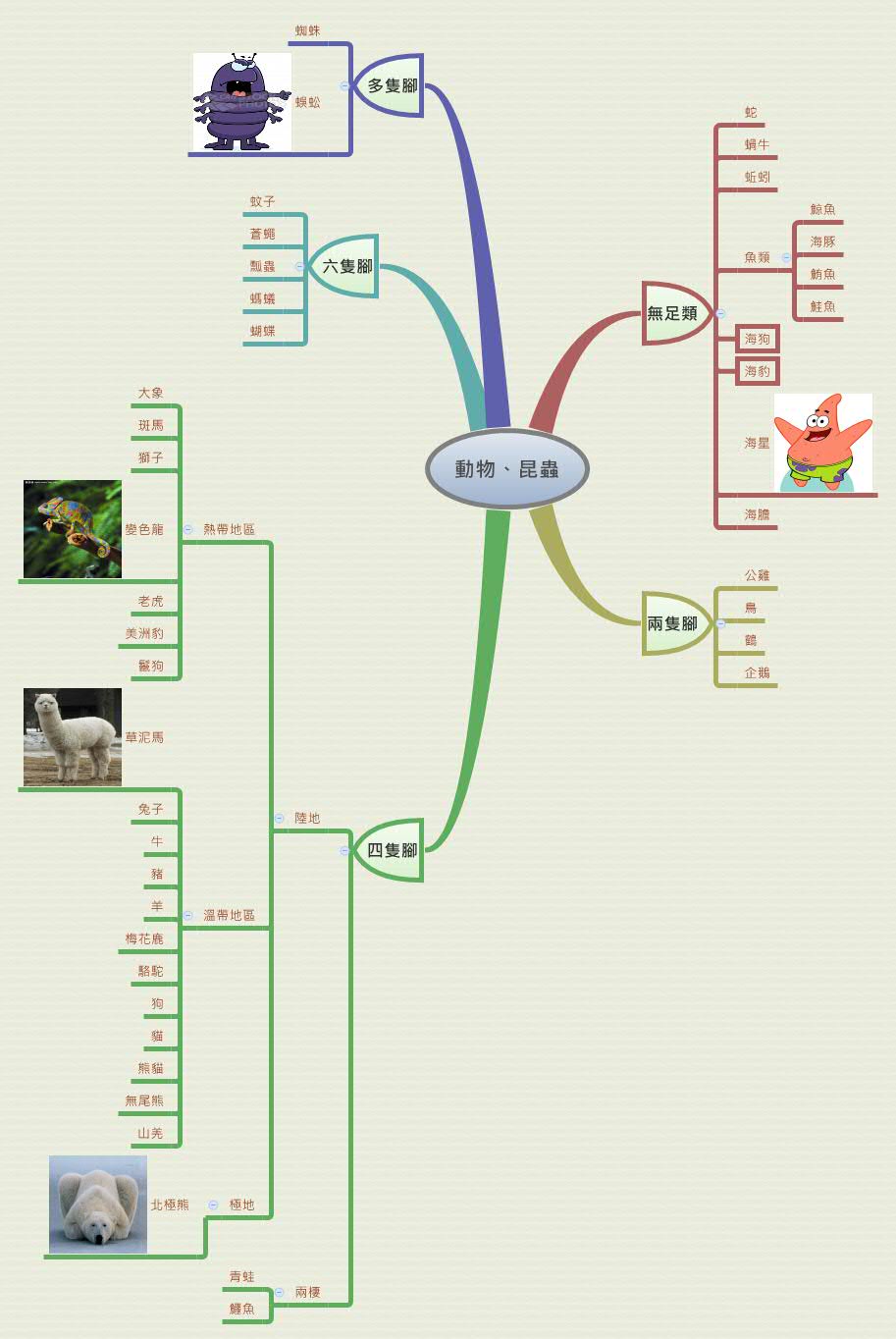 動物、昆蟲 - XMind - Mind Mapping Software