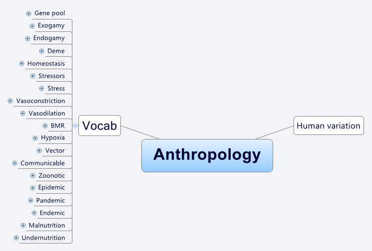 Anthropology - XMind - Mind Mapping Software