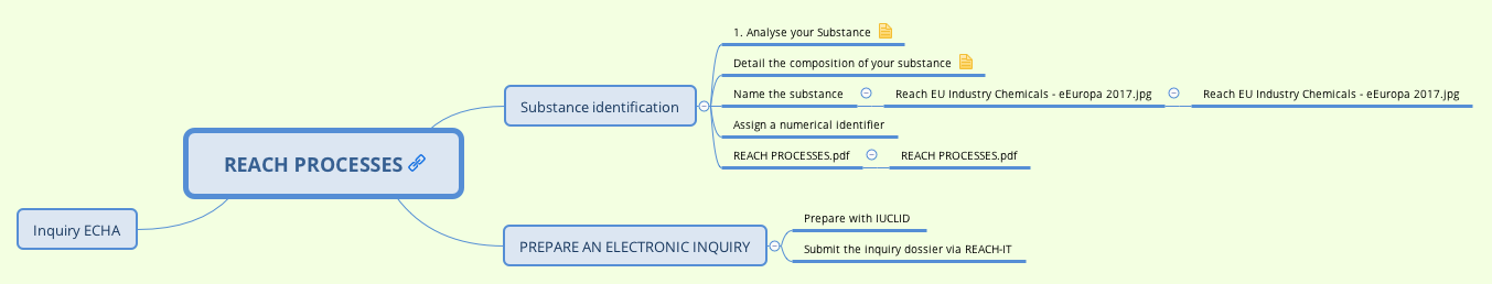 REACH PROCESSES | Paolo Licandro - Xmind