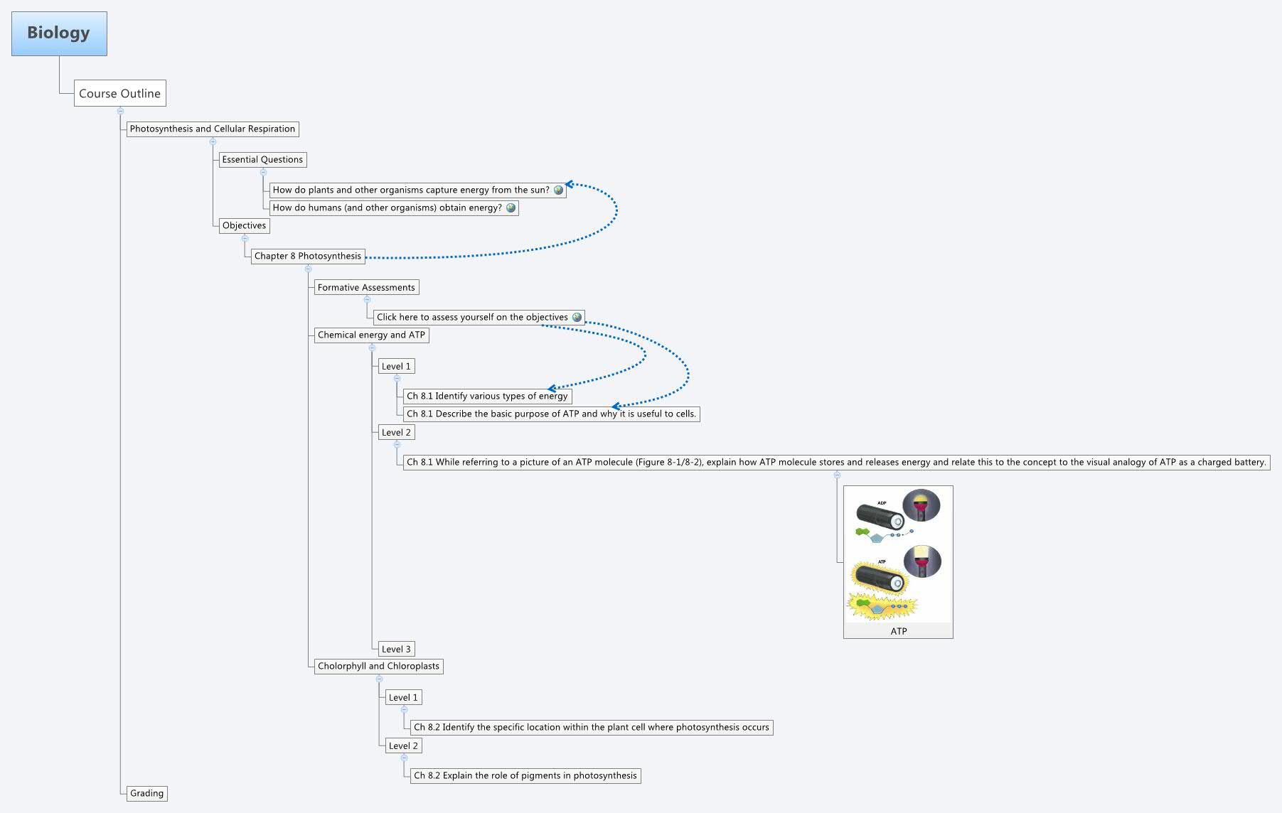 Biology - XMind - Mind Mapping Software