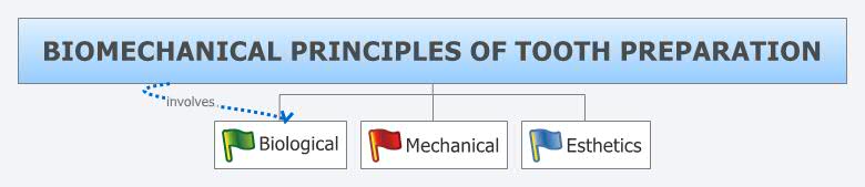 BIOMECHANICAL PRINCIPLES OF TOOTH PREPARATION - XMind - Mind Mapping ...