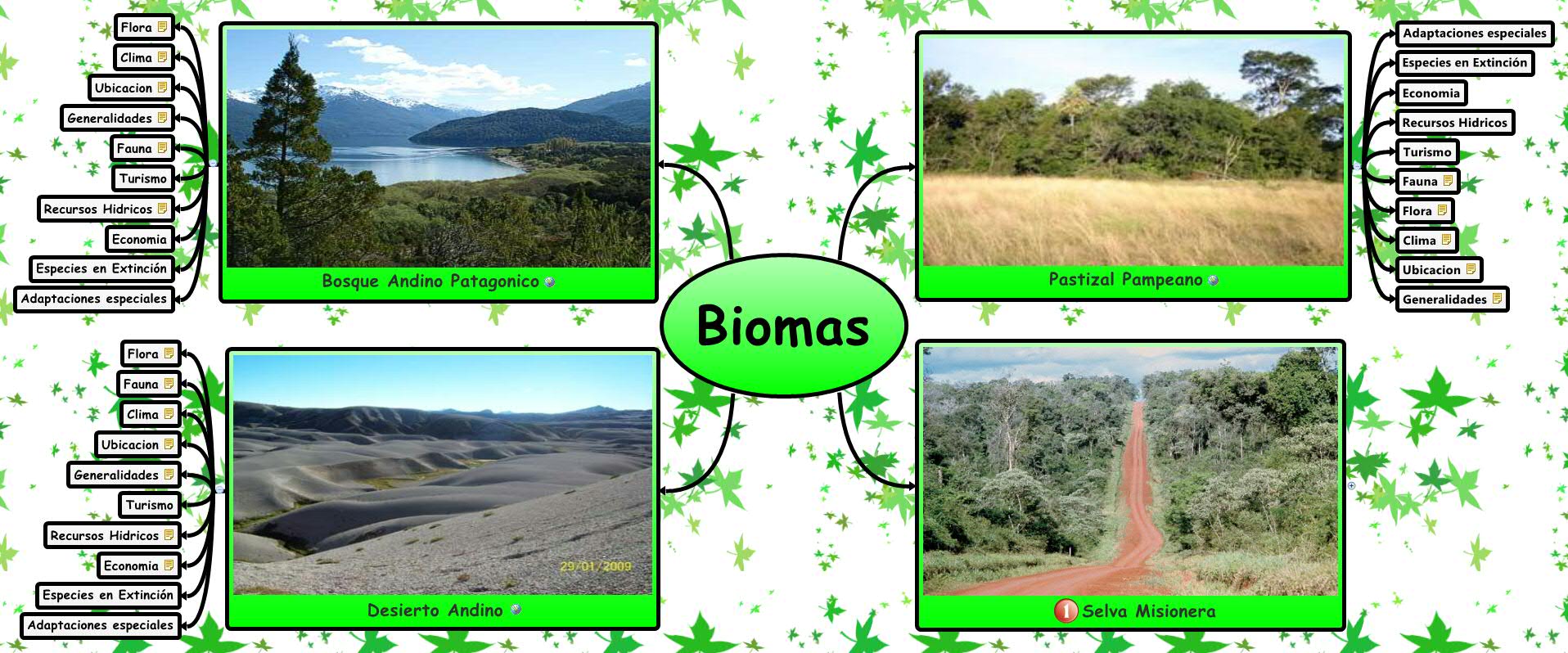 Biomas - XMind - Mind Mapping Software