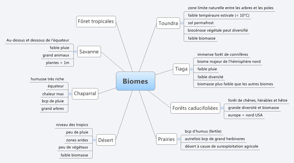 Biomes - XMind - Mind Mapping Software