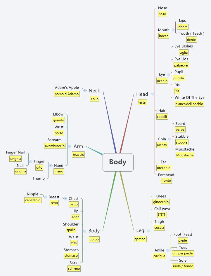 Create Your Own Concept Map On Body Tissues - Map