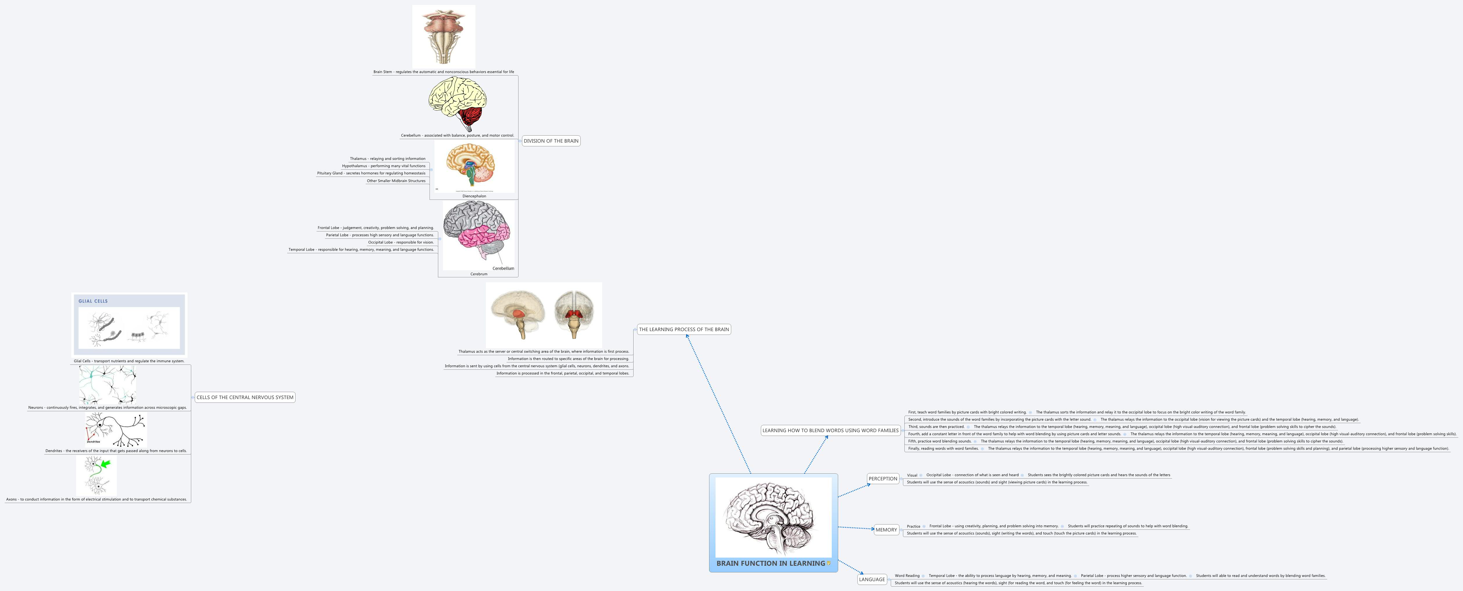 BRAIN FUNCTION IN LEARNING | rejsjv1 - Xmind