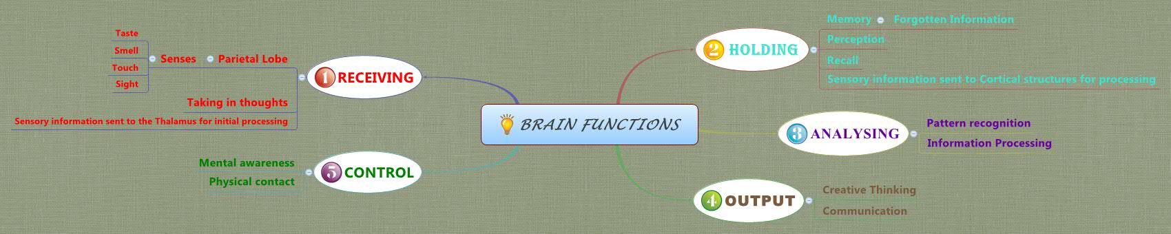 BRAIN FUNCTIONS - Xmind - Mind Mapping App