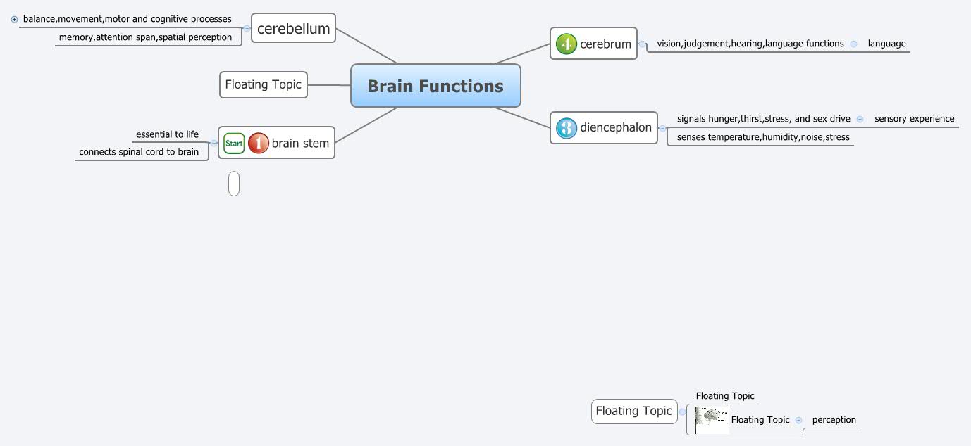 Brain Functions - XMind - Mind Mapping Software