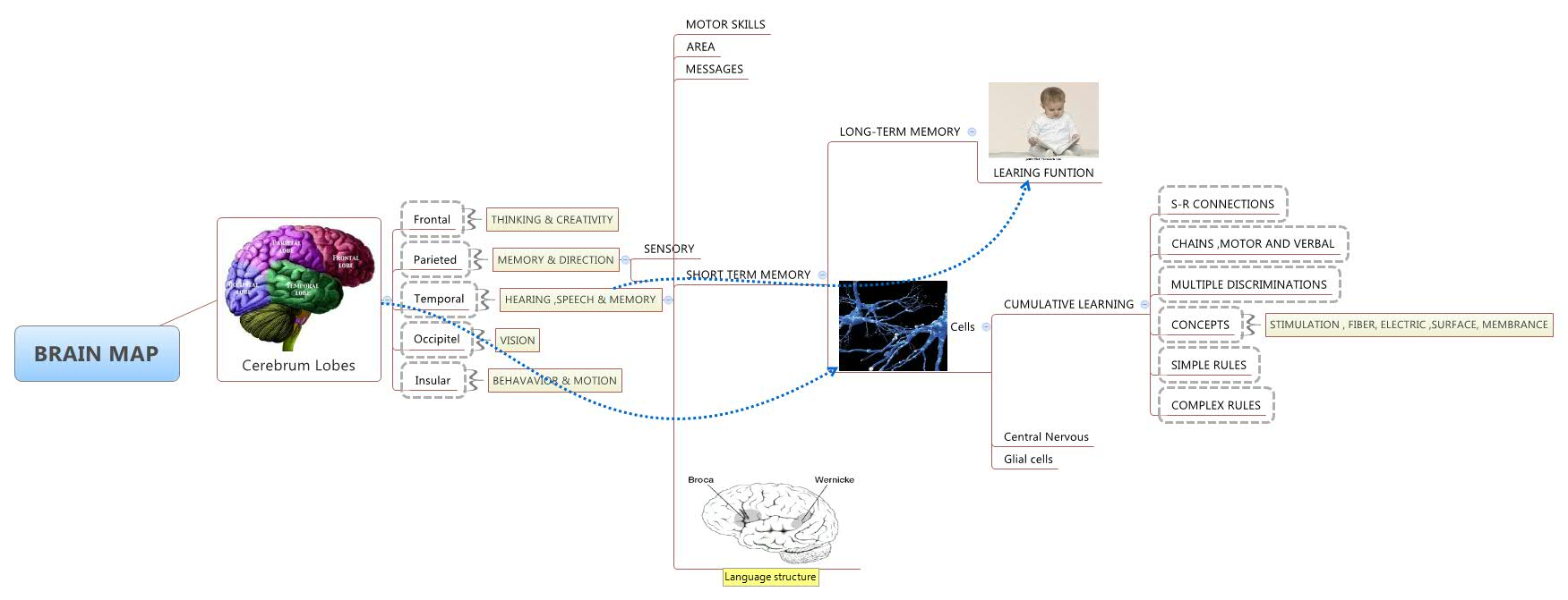 BRAIN MAP | Nawalasad - Xmind