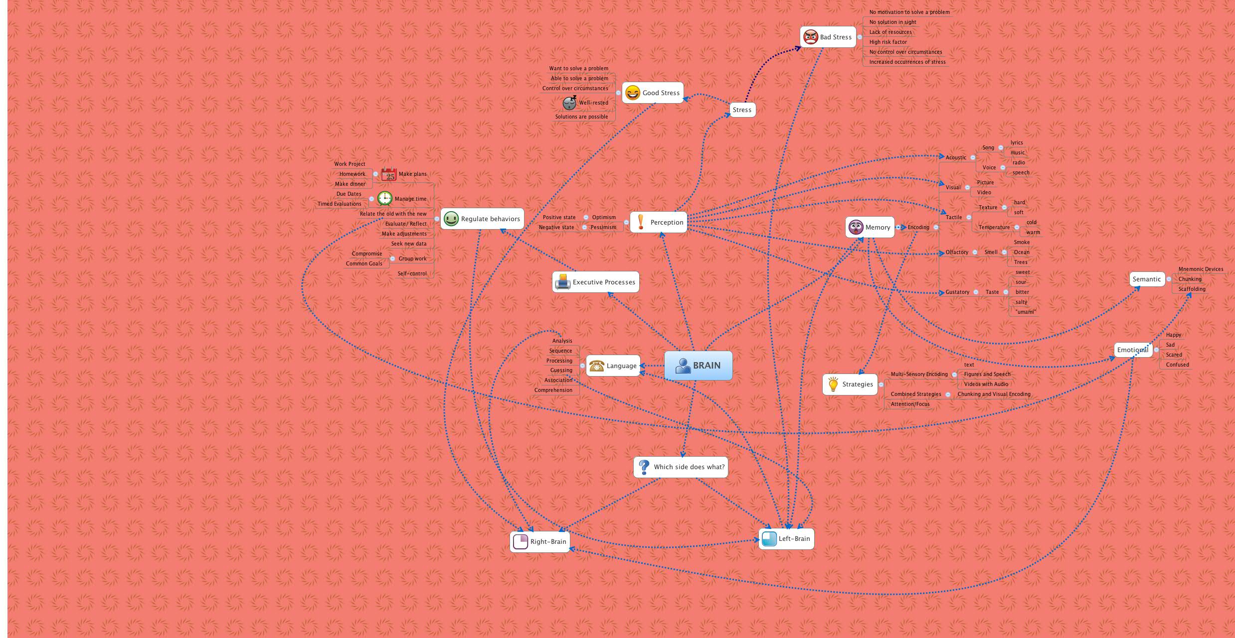 BRAIN | dandeitz - Xmind