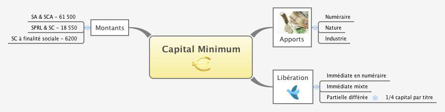 Capital Minimum | prisci - Xmind