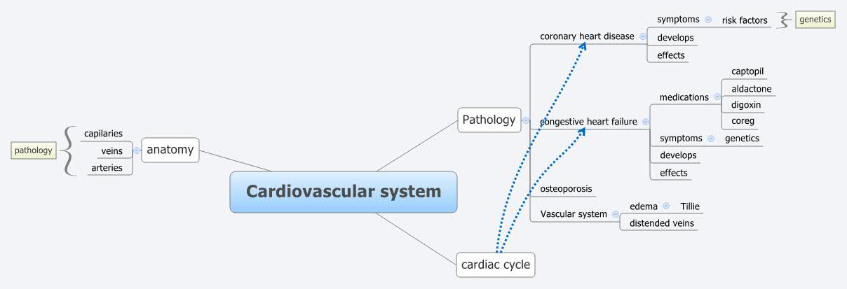 Cardiovascular system - XMind - Mind Mapping Software
