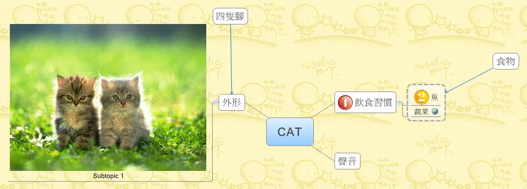 CAT - Xmind - Mind Mapping Software