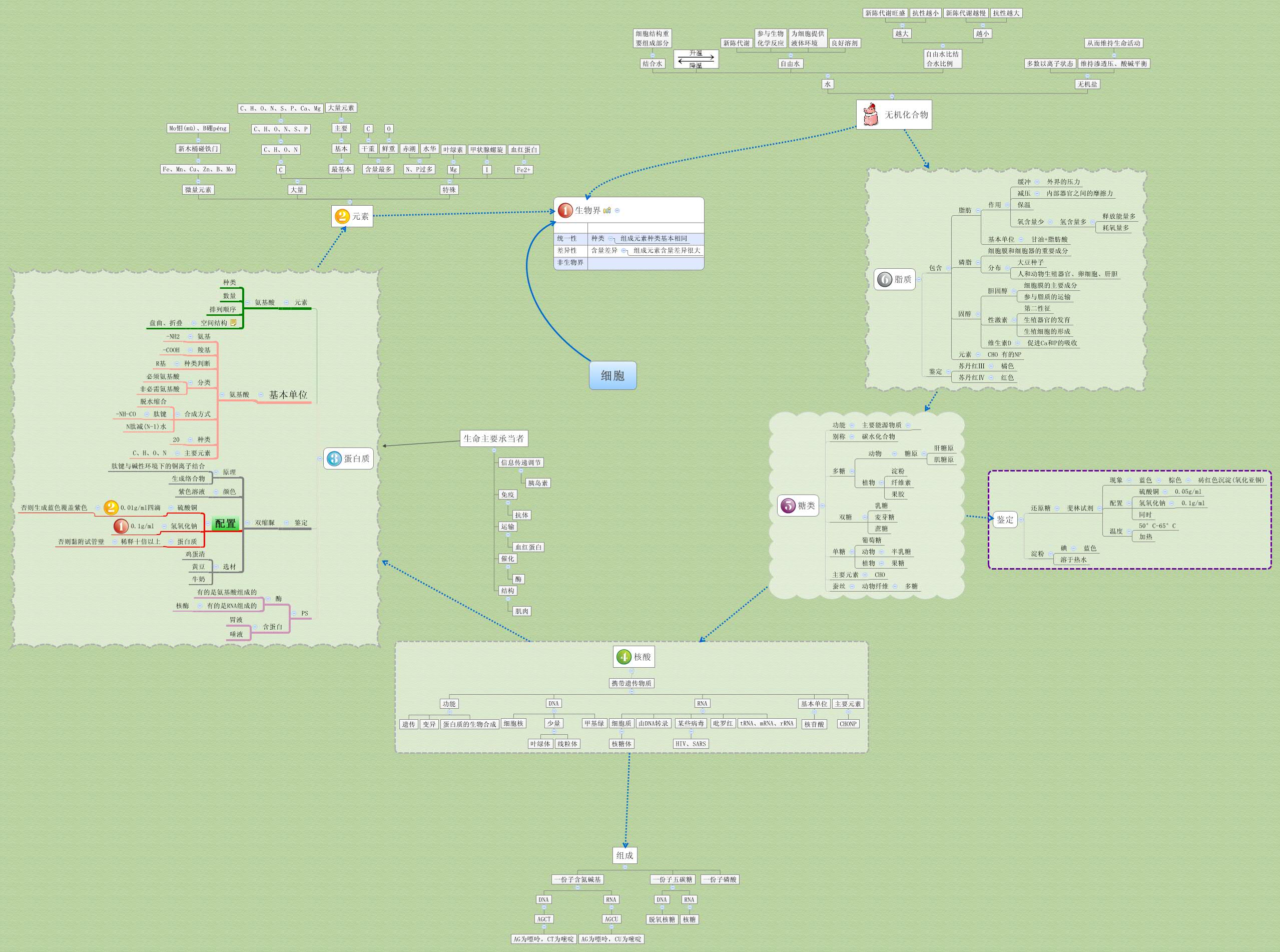 细胞 - XMind - Mind Mapping Software