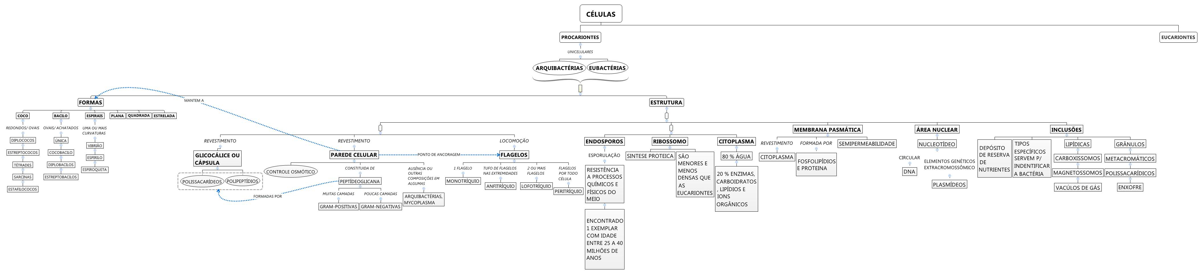 CÉLULAS - XMind - Mind Mapping Software