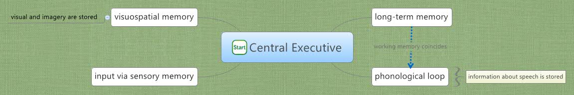 Central Executive - XMind - Mind Mapping Software