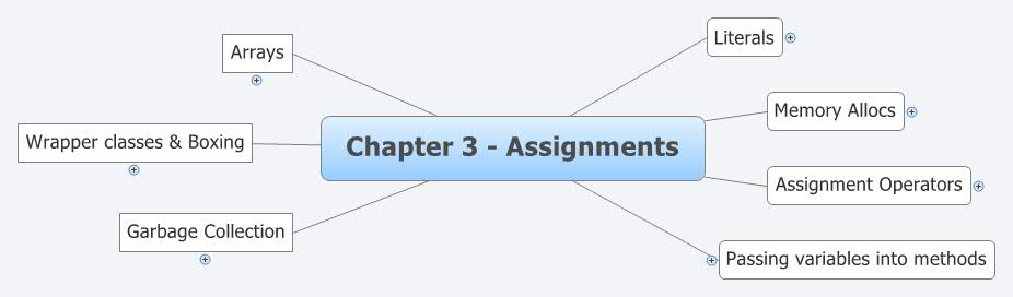 Chapter 3 - Assignments - XMind - Mind Mapping Software