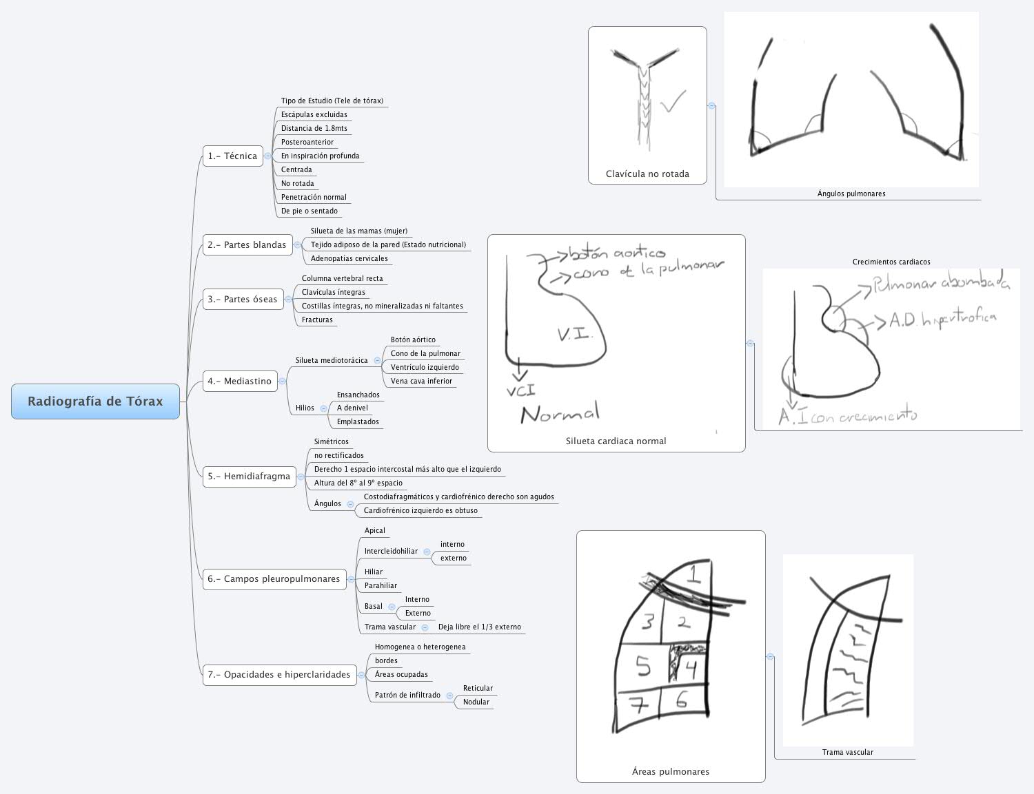XMind Share - XMind - Mind Mapping Software