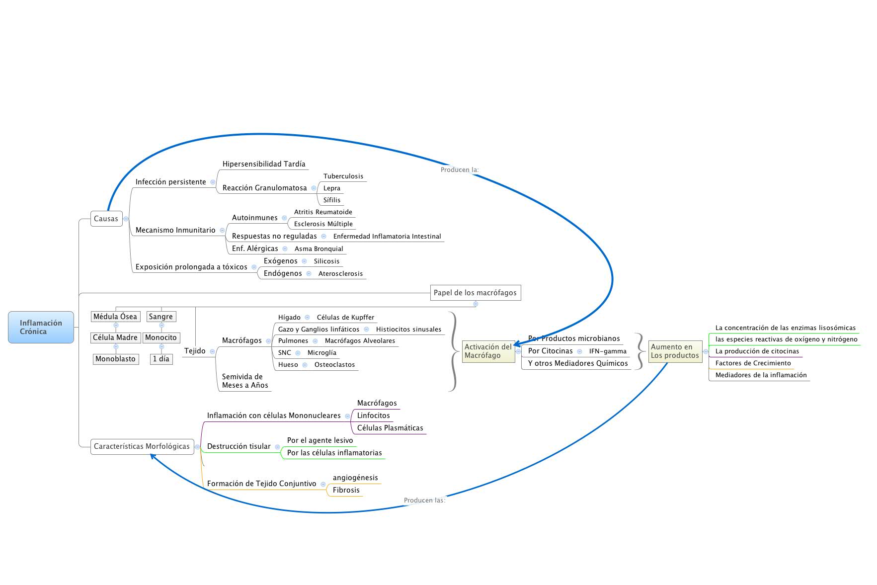 XMind Share - XMind - Mind Mapping Software