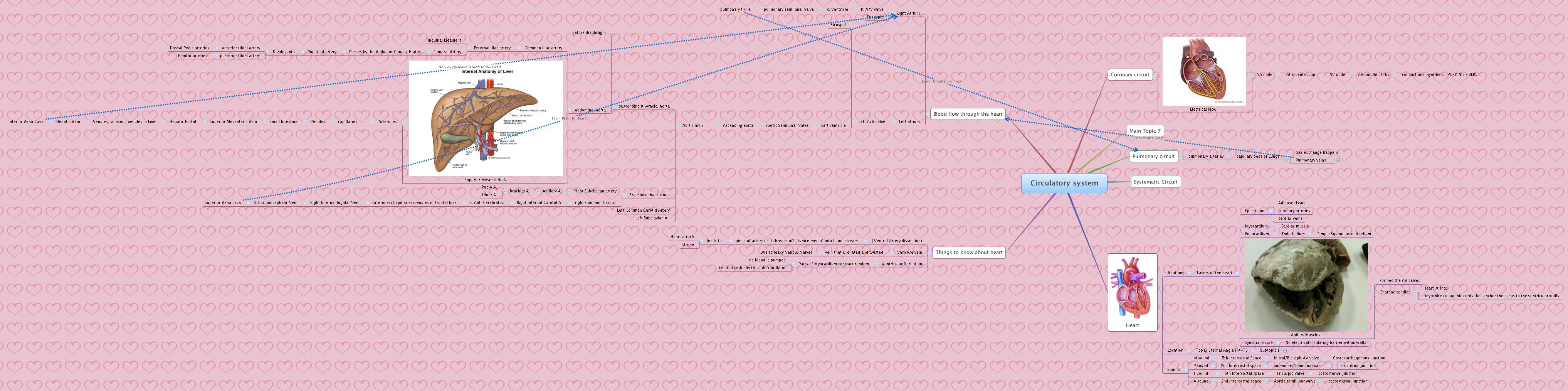 XMind Share - XMind - Mind Mapping Software