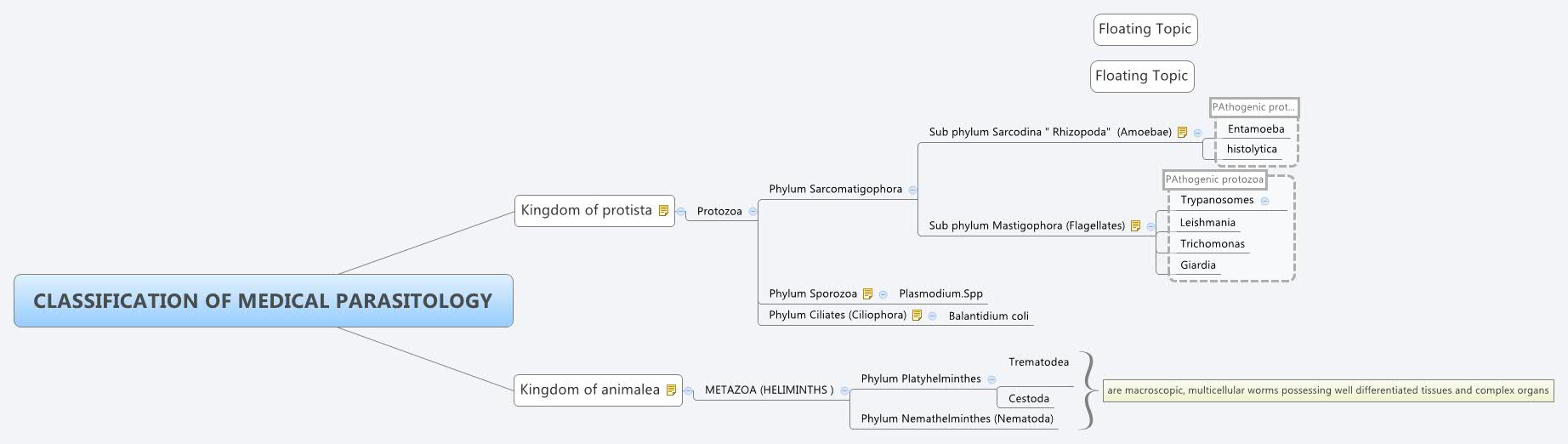 CLASSIFICATION OF MEDICAL PARASITOLOGY | abdullah_m44 - Xmind