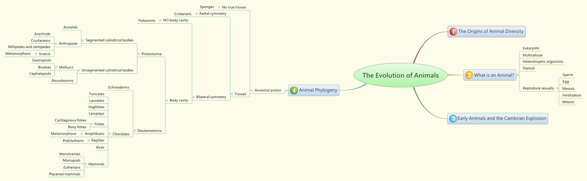 The Evolution of Animals - XMind - Mind Mapping Software