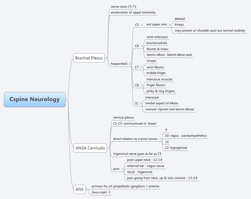 Cspine Neurology - XMind - Mind Mapping Software