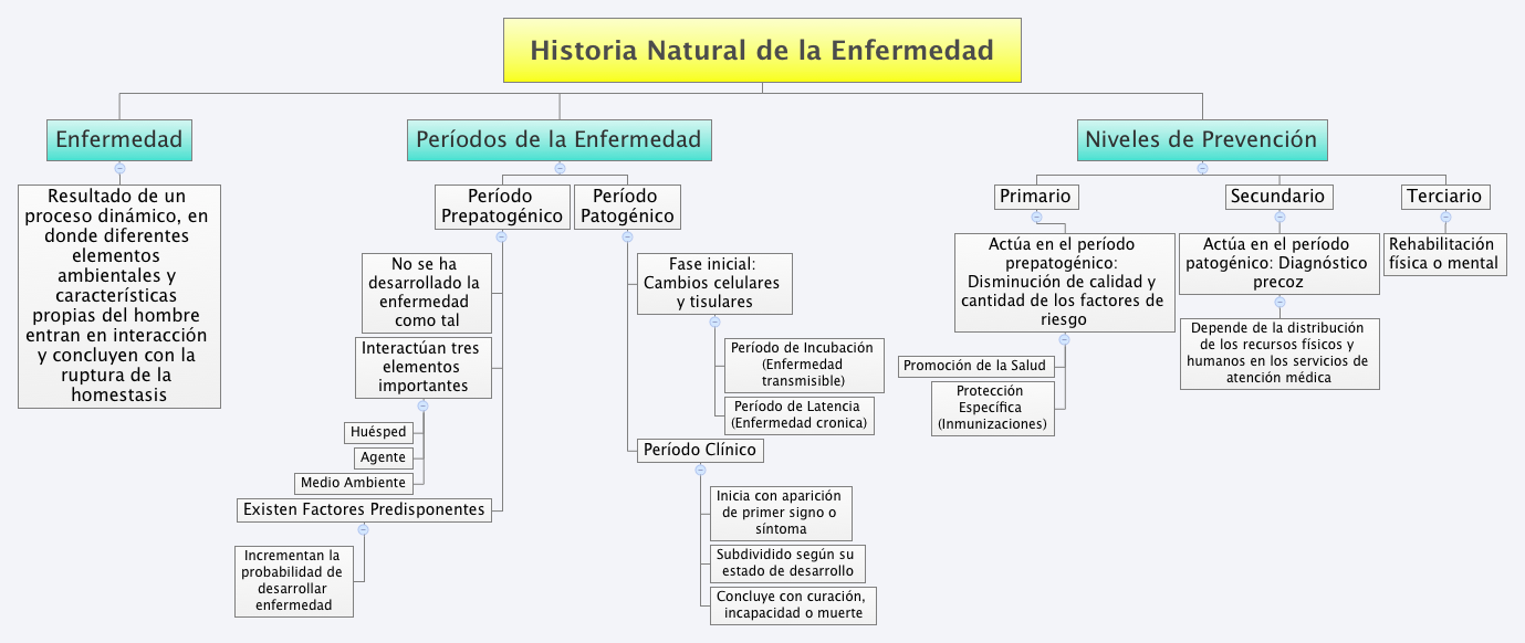 Historia Natural de la Enfermedad - XMind - Mind Mapping Software