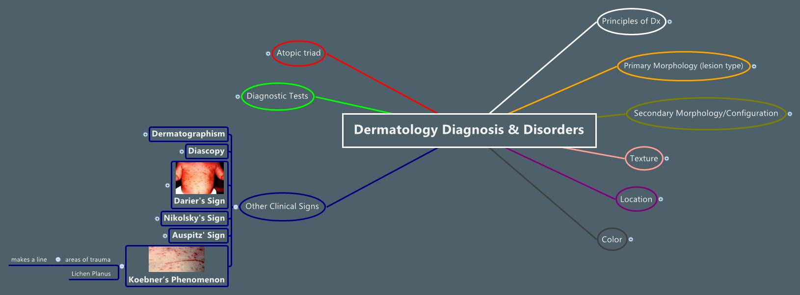 Dermatology Diagnosis & Disorders - Xmind - Mind Mapping App