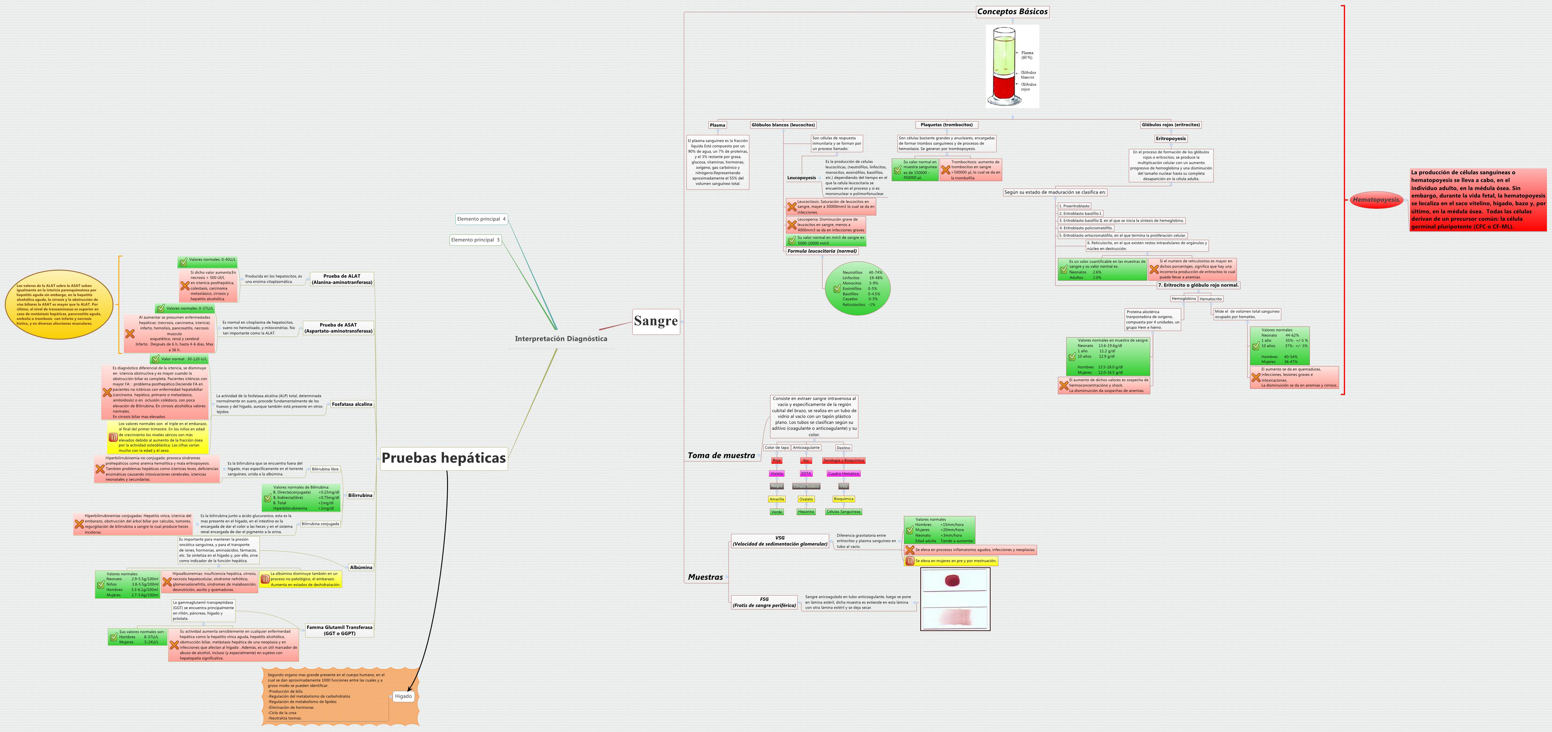 Interpretación Diagnóstica - XMind - Mind Mapping Software