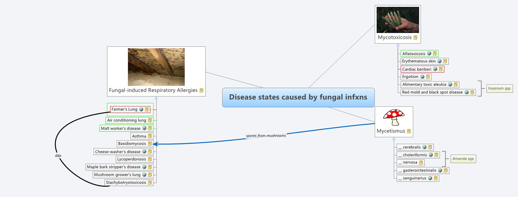 Disease states caused by fungal infxns - XMind - Mind Mapping Software