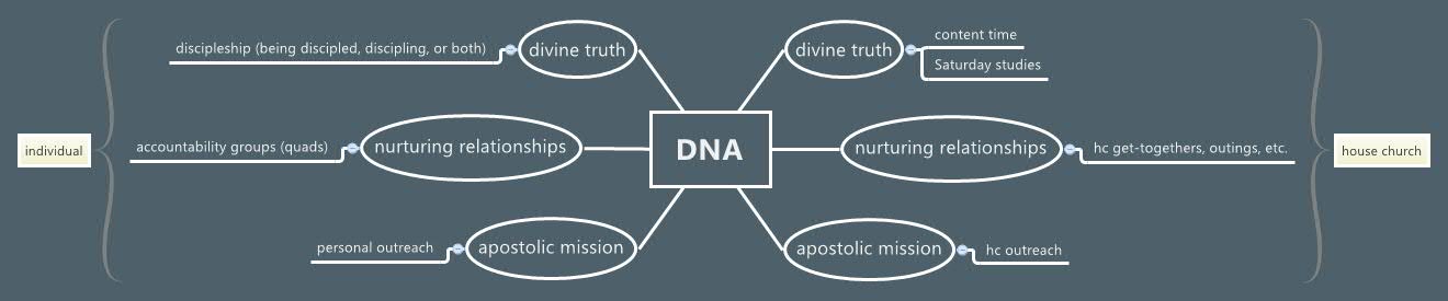 DNA - XMind - Mind Mapping Software