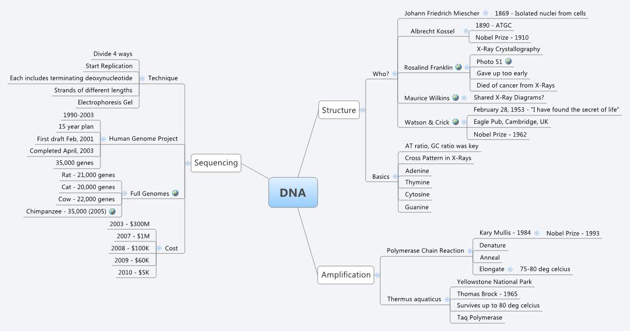 DNA - XMind - Mind Mapping Software