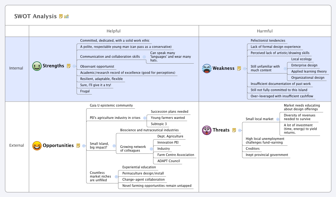 SWOT Analysis | Adam MacLean - Xmind
