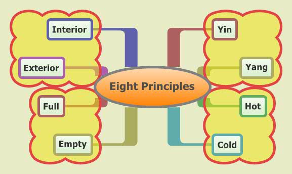 Eight Principles - XMind - Mind Mapping Software