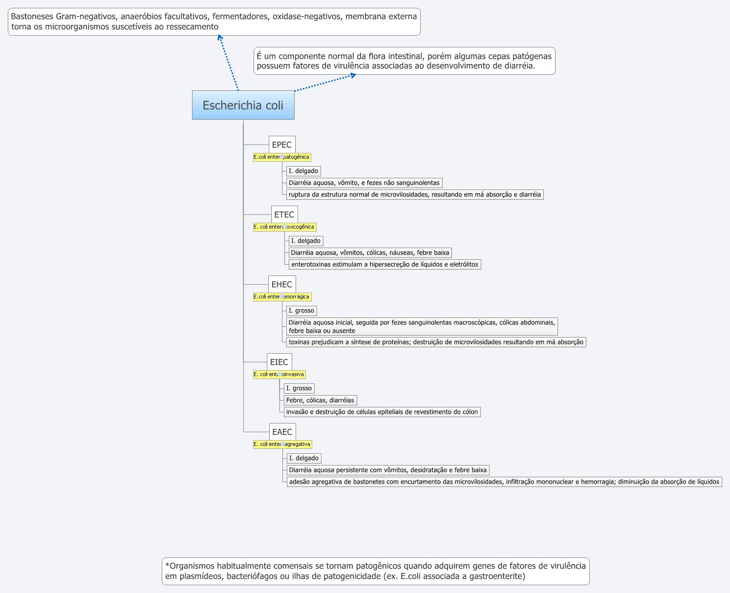 Escherichia coli - XMind - Mind Mapping Software