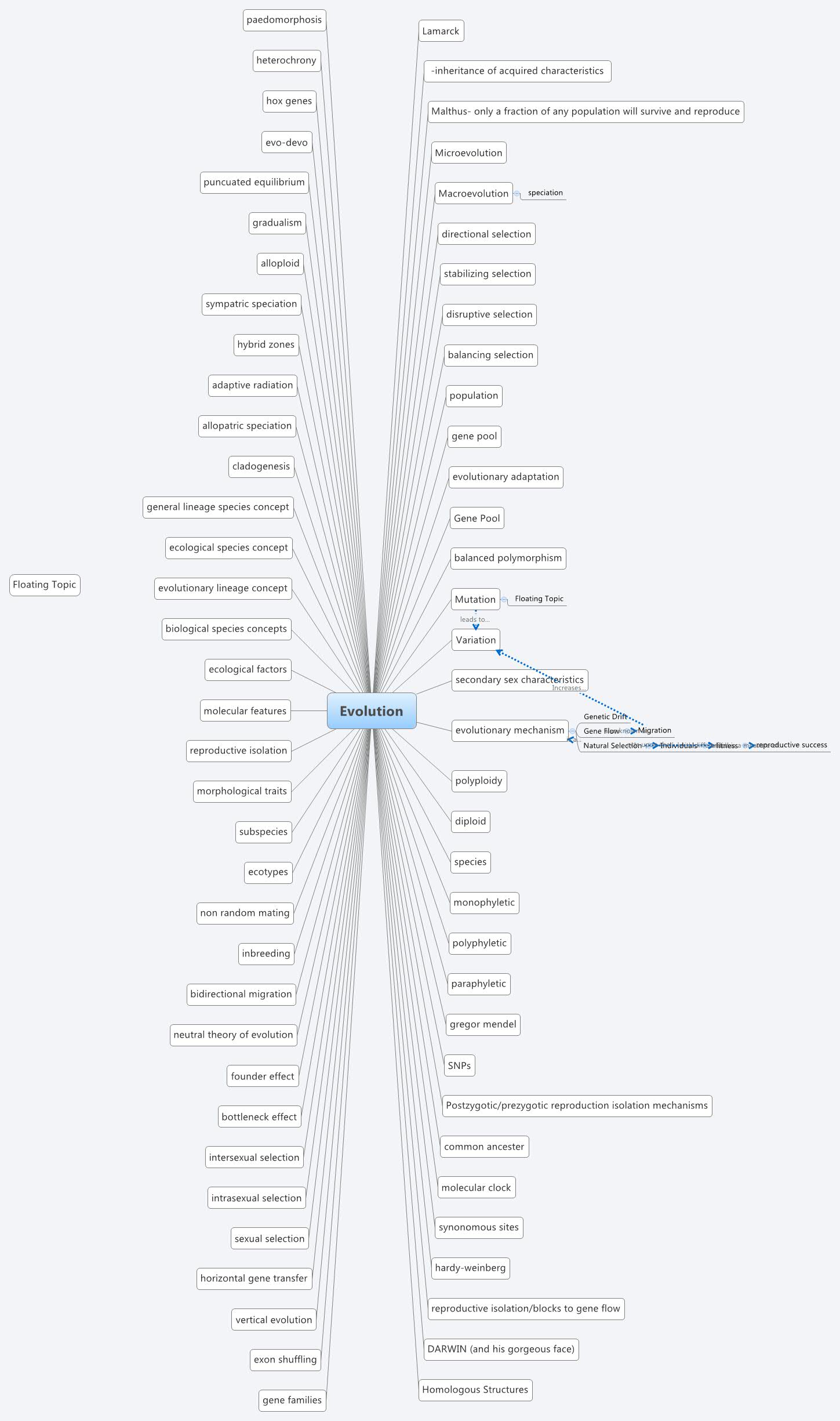 Evolution | heins049 - Xmind