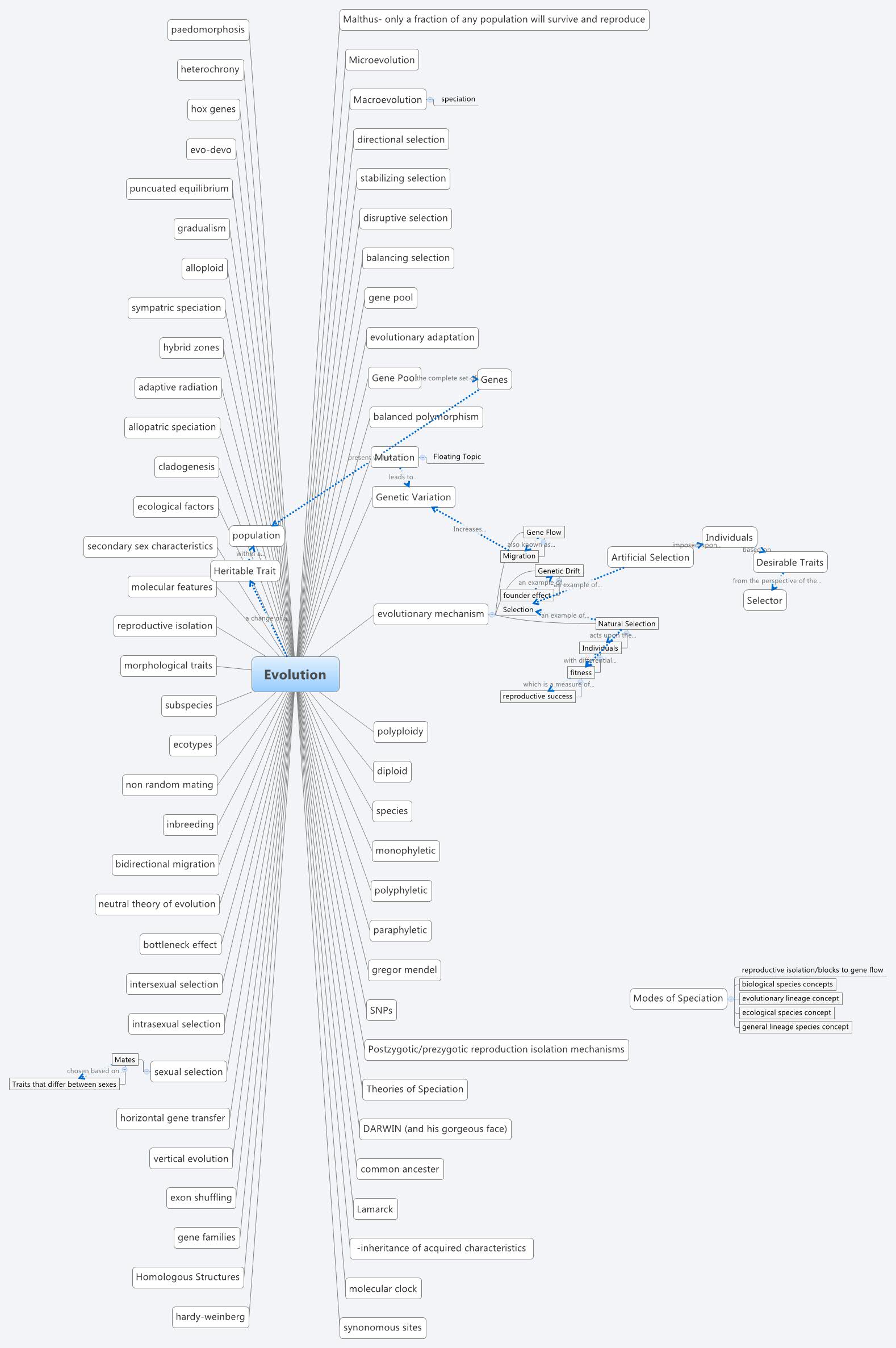 Evolution - XMind - Mind Mapping Software