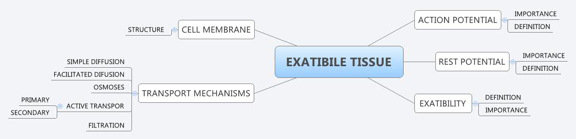 XMind Share - XMind - Mind Mapping Software