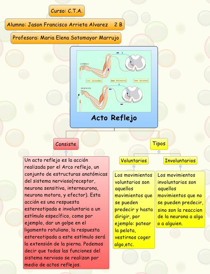Acto Reflejo | nosaj-27 - Xmind