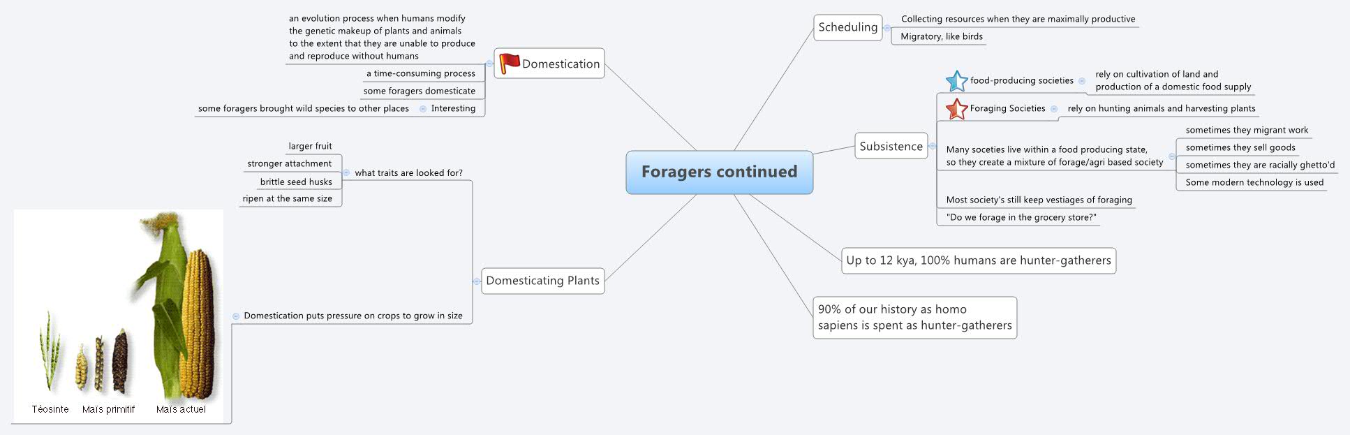 Foragers continued | Scott - Xmind