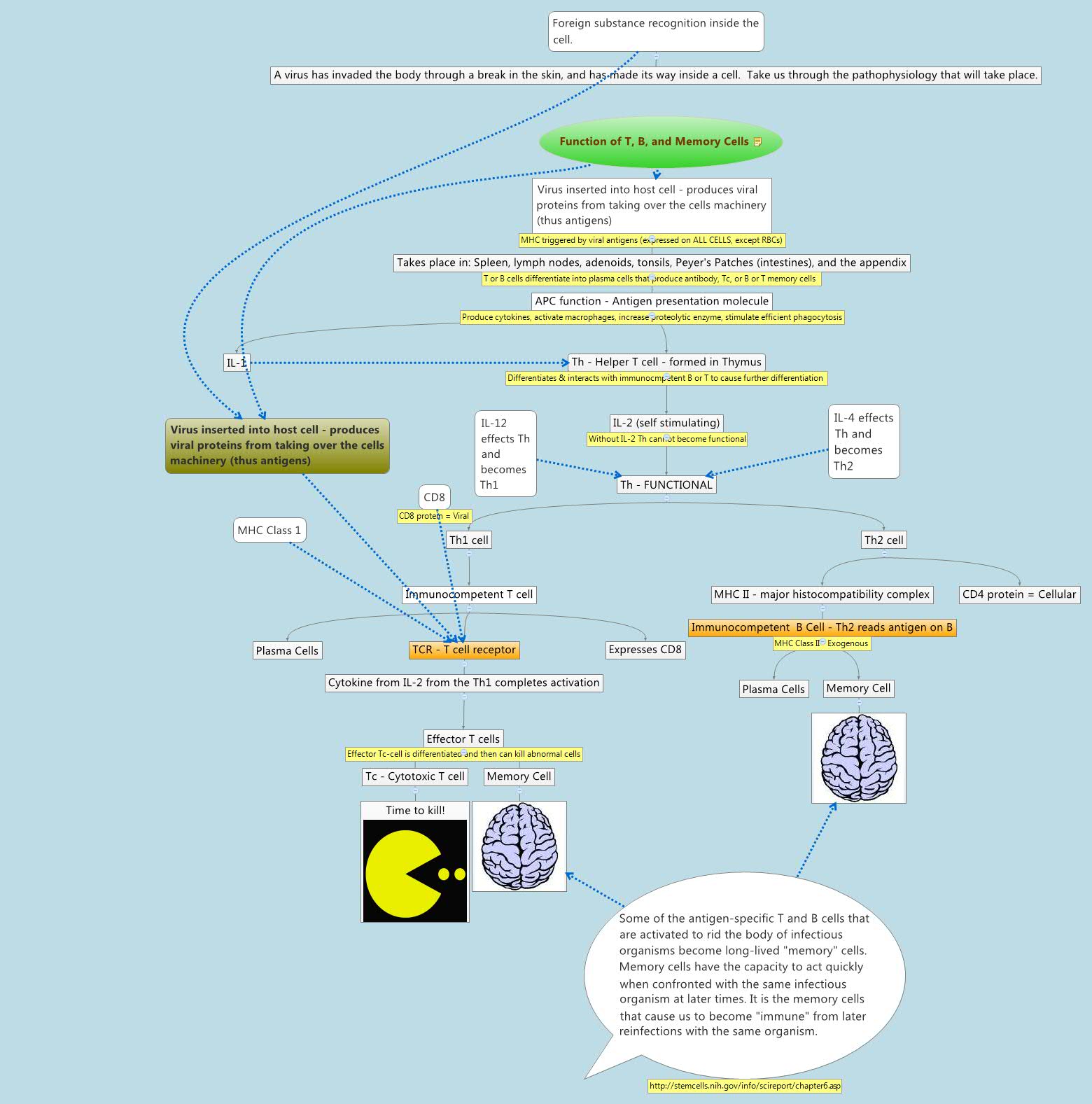 Function of T, B, and Memory Cells | ted1735 - Xmind