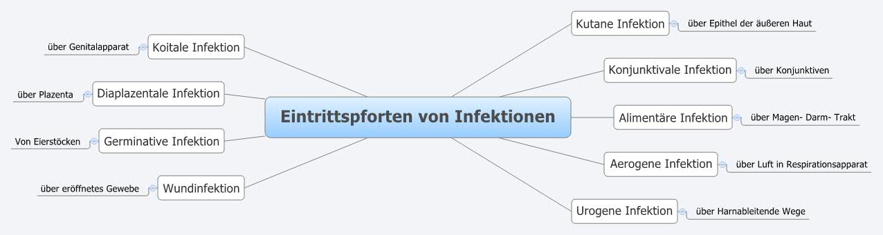 Eintrittspforten von Infektionen | kiraduke - Xmind