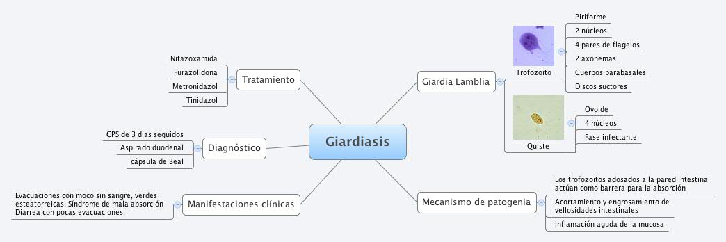 XMind Share - XMind - Mind Mapping Software