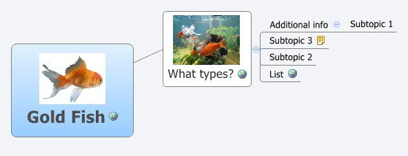 Gold Fish | ZoiZoi - Xmind